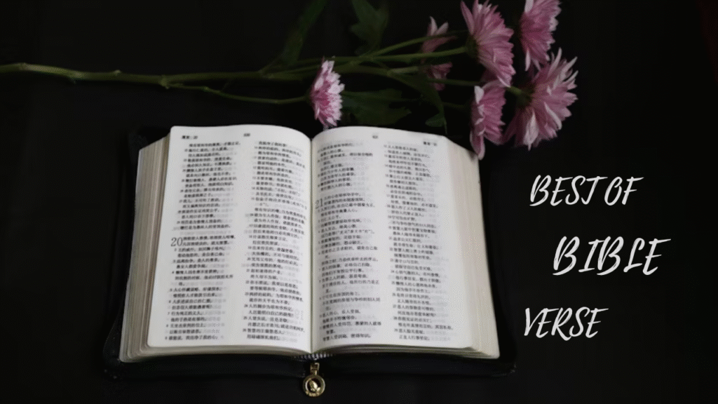 Best of Bible Verses | Inspiring Scripture for Life
